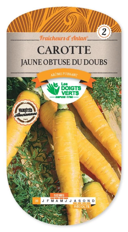 CAROTTE jaune obtuse Doubs - FRAIS DE PORT OFFERT | Semences