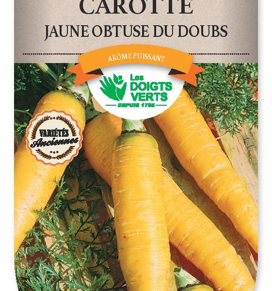 CAROTTE jaune obtuse Doubs - FRAIS DE PORT OFFERT | Semences